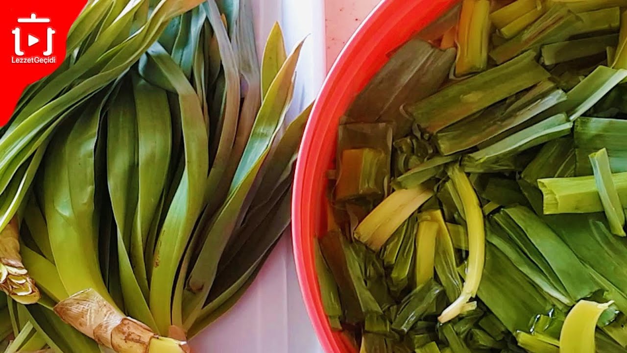 Çiriş Otu Yemeği Nasıl Yapılır Faydaları Nelerdir ?Çiriş Otu Nasıl ...