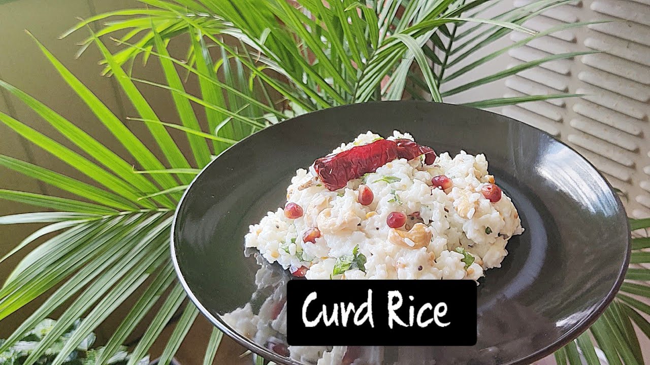 Curd Rice Recipe|| Dahi Bhat|| Yogurt Rice|| South Indian Recipe ...