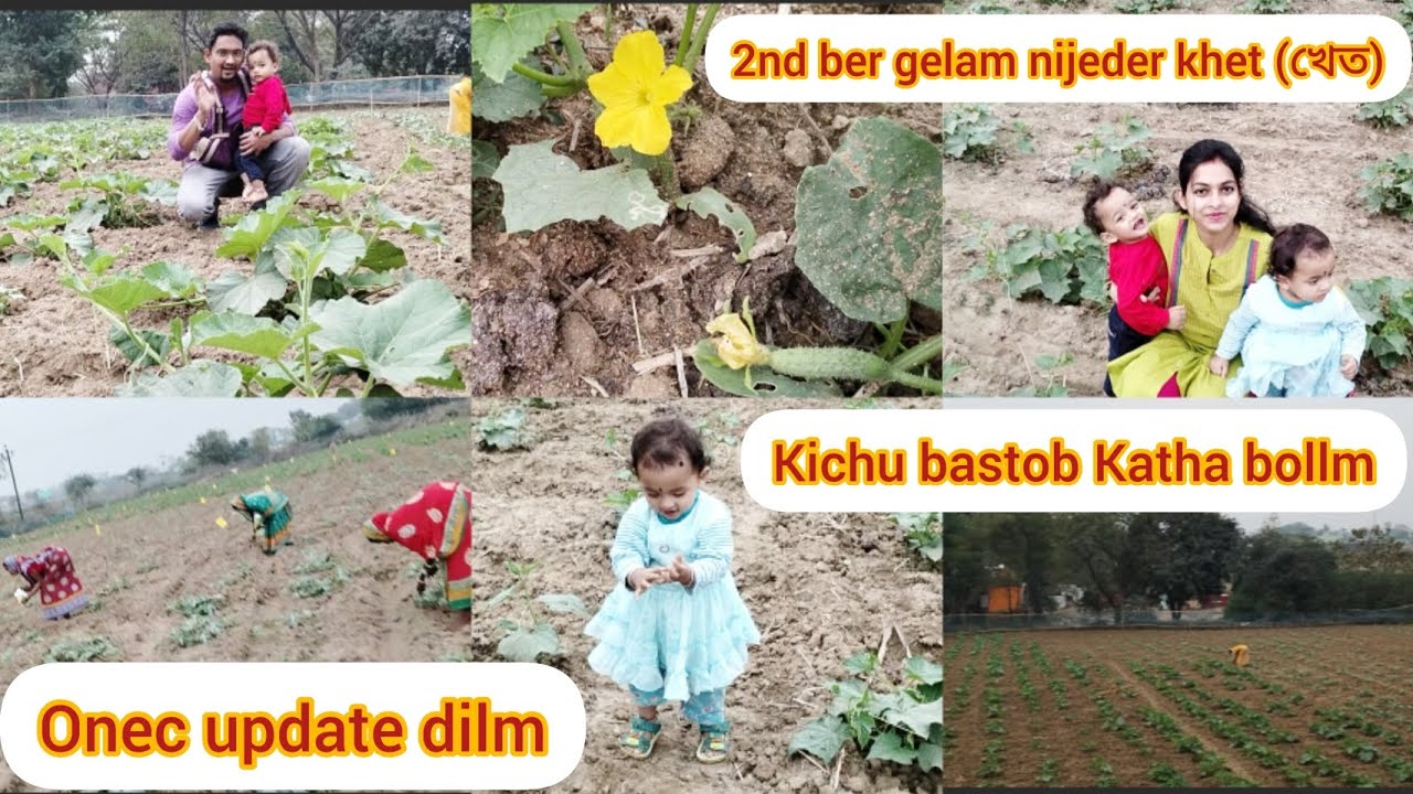 2nd ber jonne amader khet gelam|project er update dilm|vlog 7| Aj ...