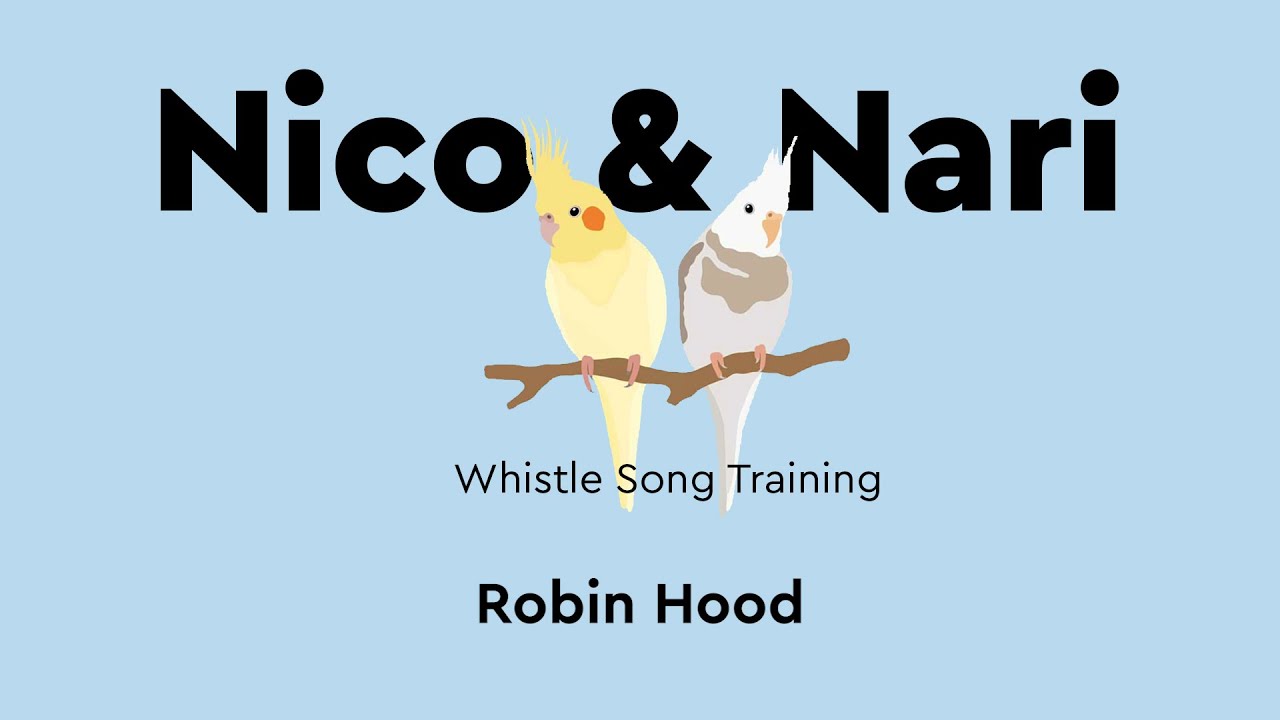 Whistle Stop from Robin Hood ~ Parrot Whistle Training - YouTube