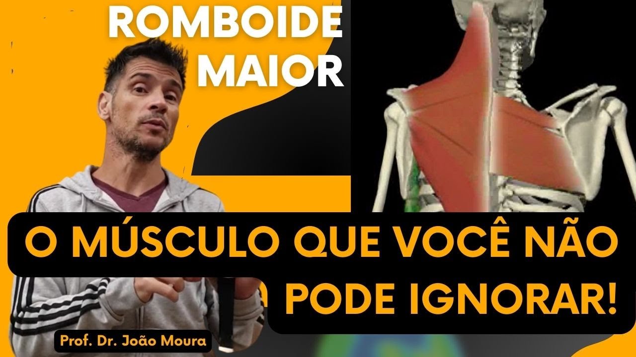 ROMBÓIDE MAIOR: MÚSCULO QUE VOCÊ PRESCISA CONHECER! Movimento Escapular ...