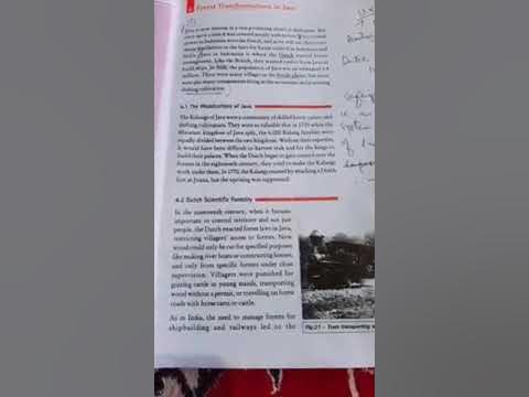 Class 9th History Forest Transformations in Java - YouTube