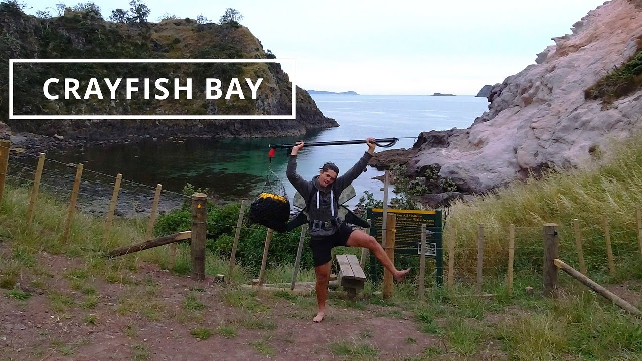 Crayfish Bay CATCH AND COOK! - YouTube