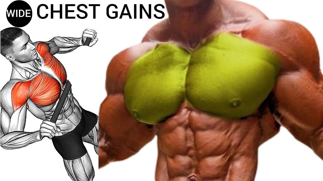Do These Exercises for Wide Chest Gains - YouTube