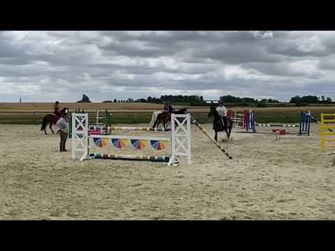 #équitation#Stage galop 6 - YouTube