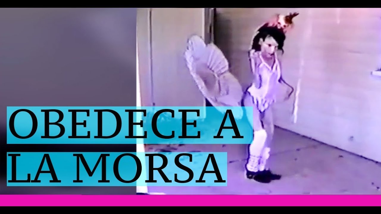 Obedece a la Morza - YouTube