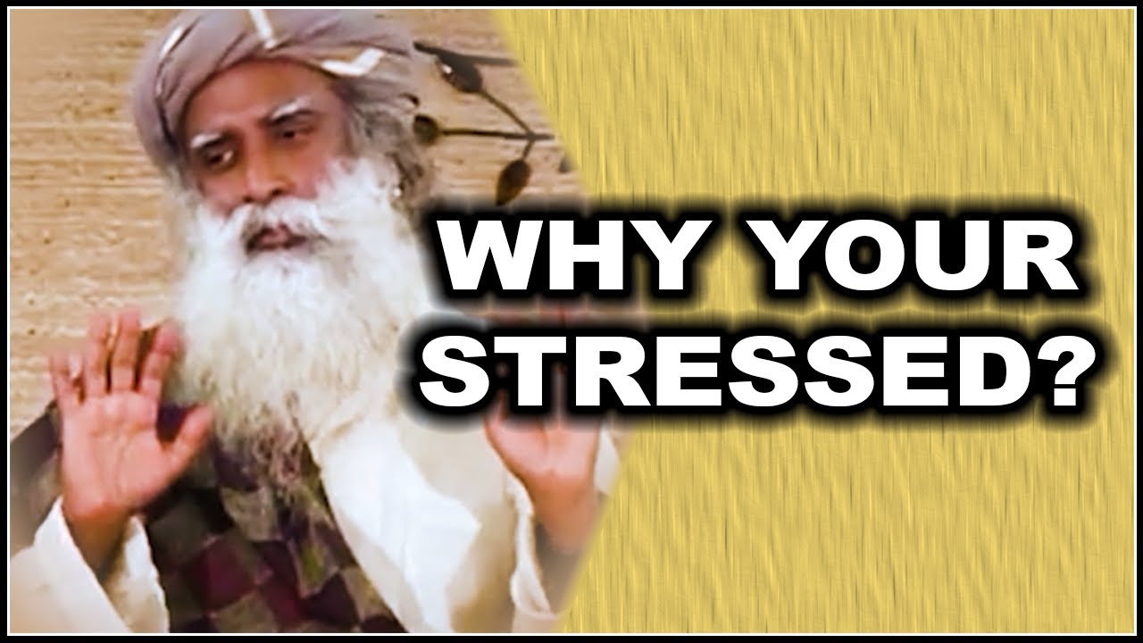 Why You Are Stressed? Why Am I Stressed? | SADHGURU Talks about ...