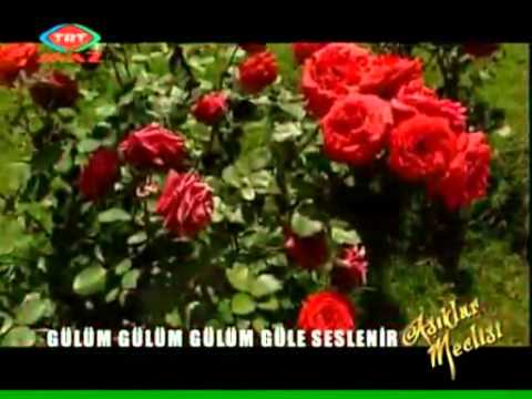 MEVLÜT İHSANİ-TINIM TINIM DER TELE SESLENİR