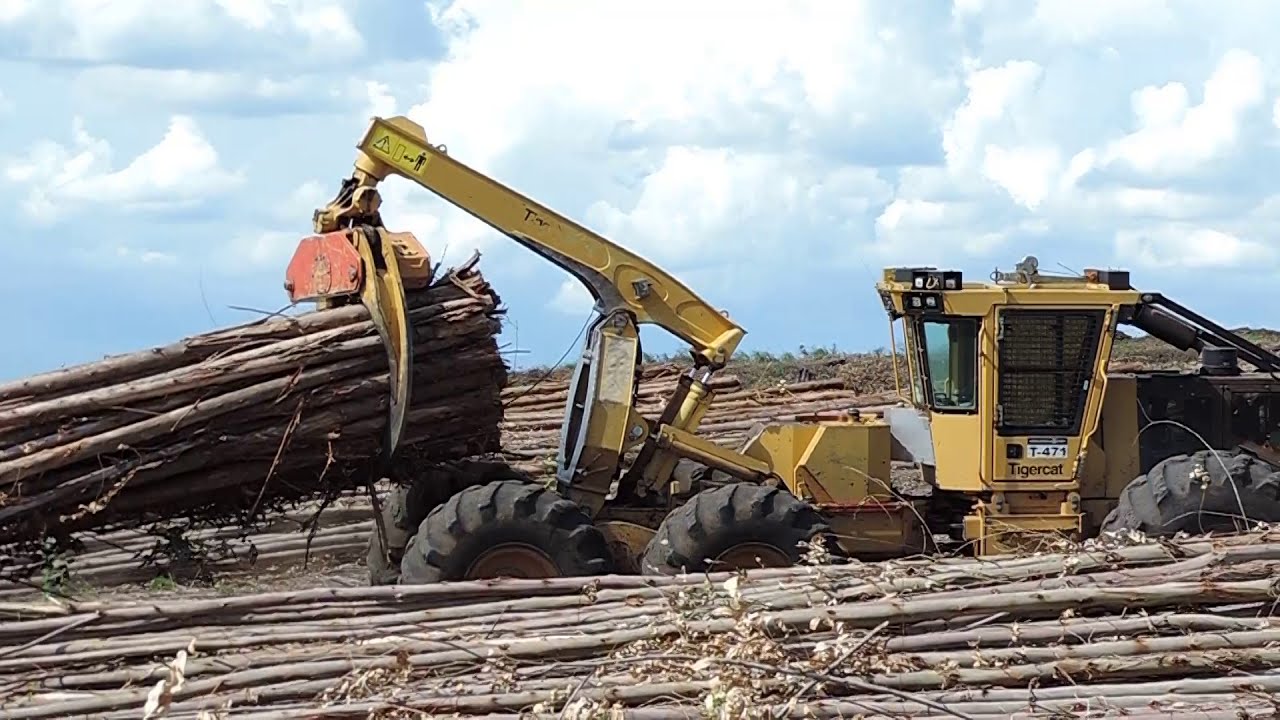 Skidder Tigercat 635D with Disc Delimber - YouTube