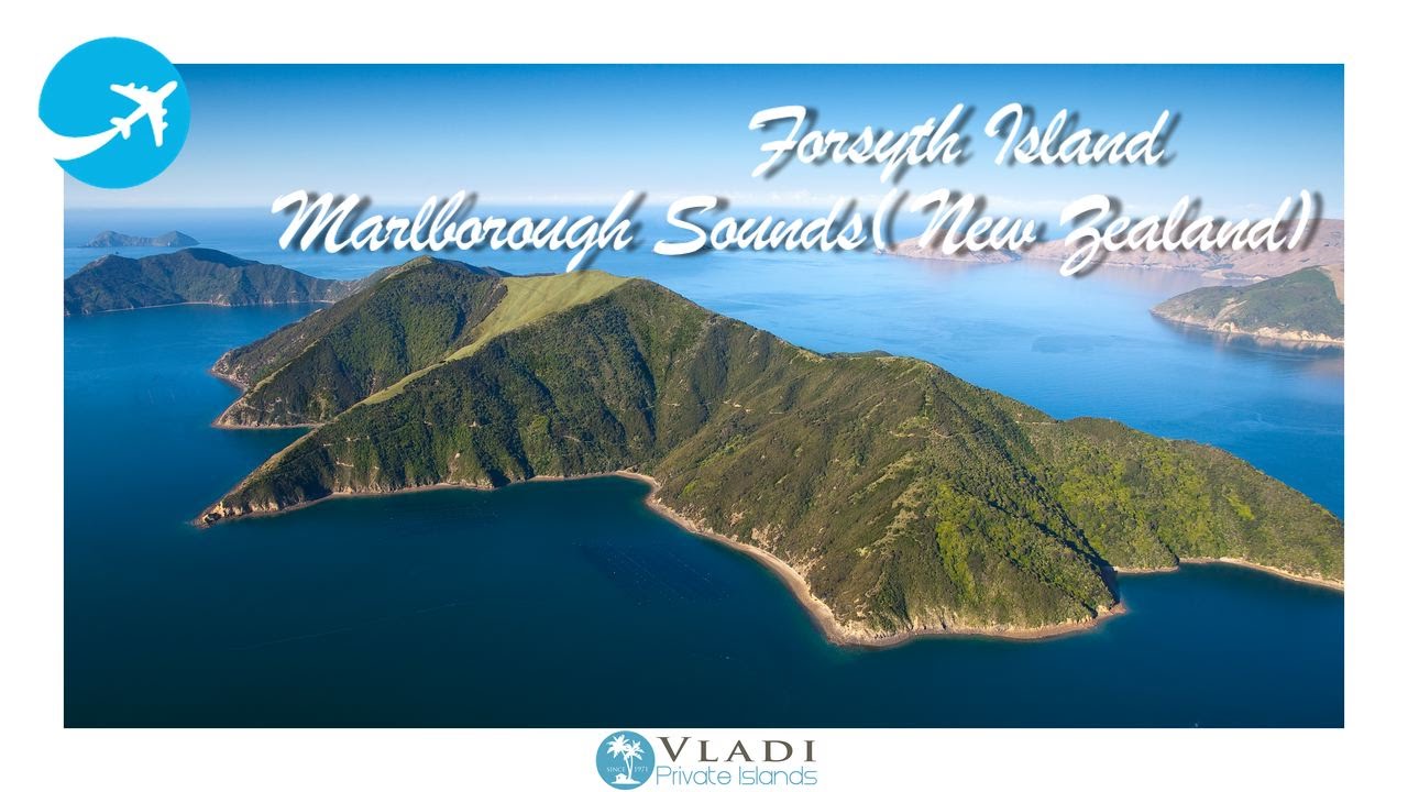 Forsyth Island/ New Zealand (Marlborough Sounds) - YouTube