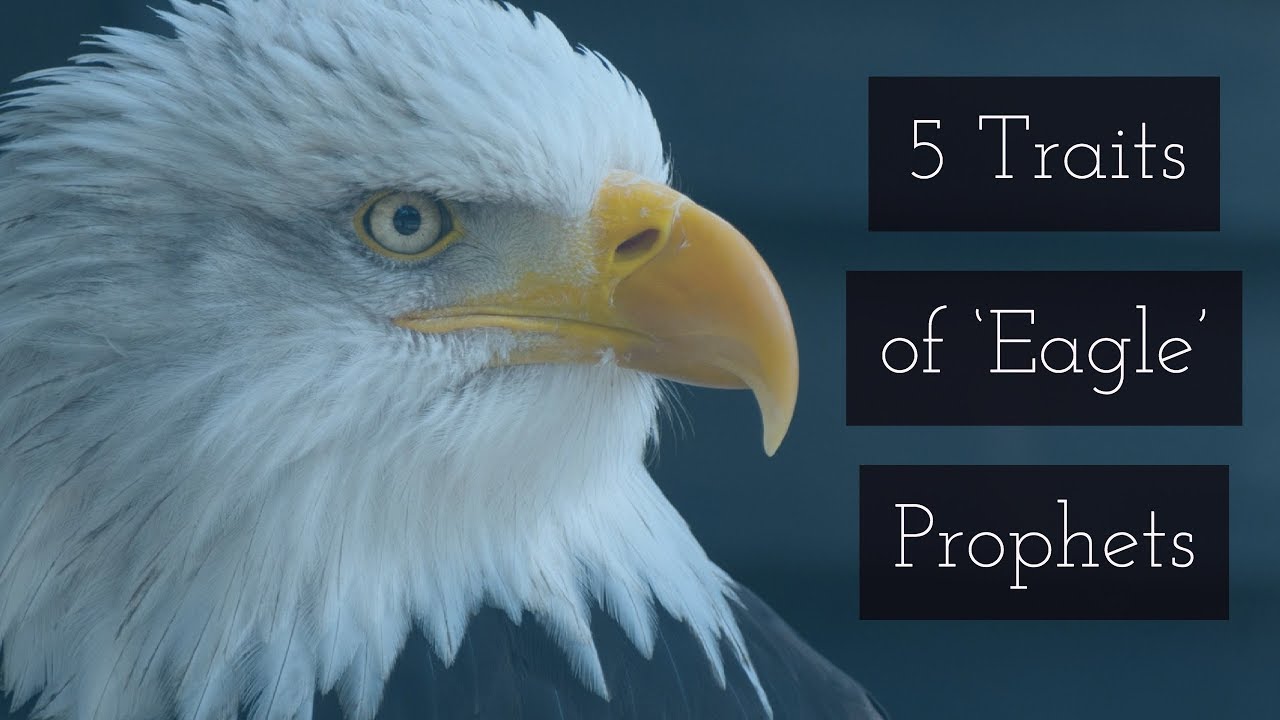 5 Traits of "Eagle' Prophets | Don't be a 'Vulture' Prophet - YouTube