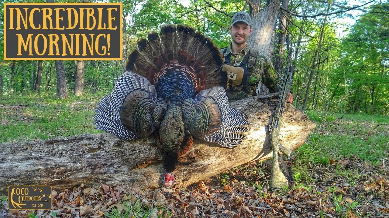 Maryland Turkey Down! - PERFECT TURKEY HUNT!! | MD Spring 2024 - YouTube