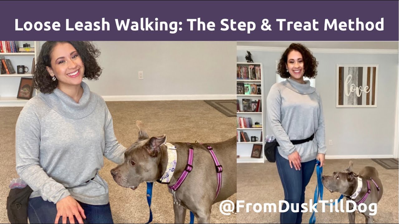 Loose Leash Walking Tips - YouTube