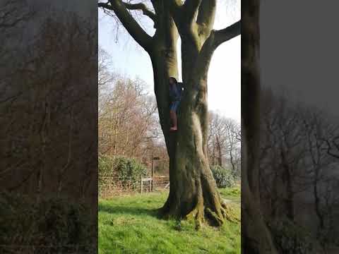 GUY PETRIFIED TO JUMP 2 METERS!! HILARIOUS MUST WATCH 😂