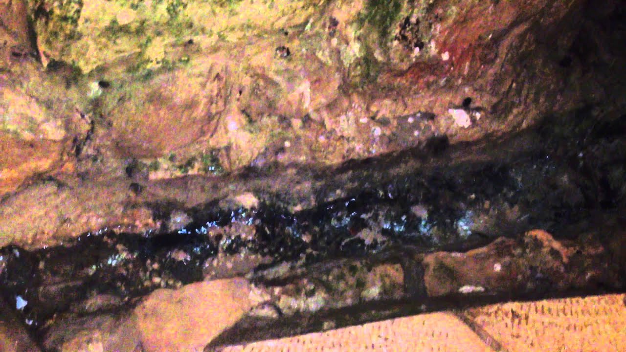 Ari Mikva safes - YouTube