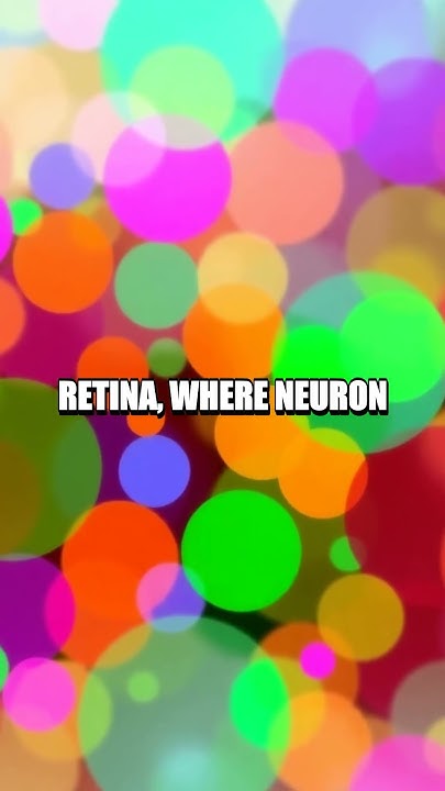 Understanding the Scintillating Grid Illusion - YouTube