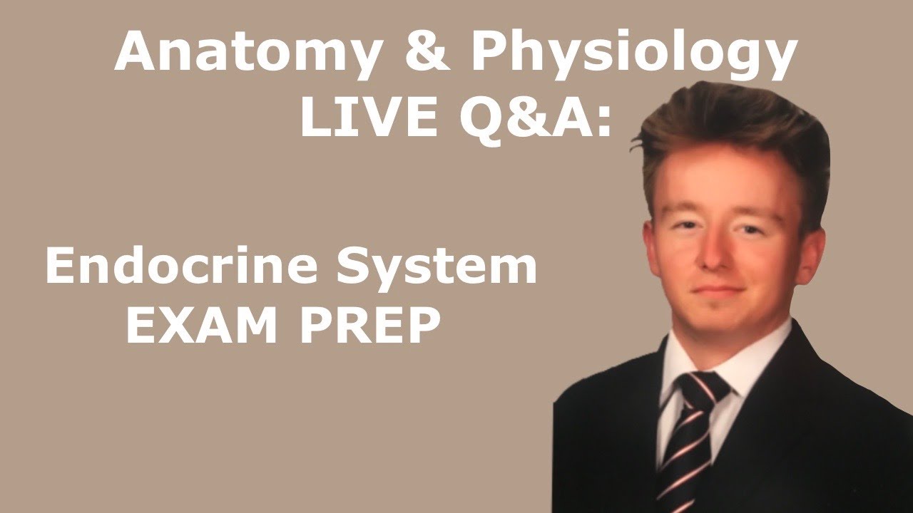 4/30/25 Anatomy & Physiology LIVE Q&A: Endocrine System Exam Prep - YouTube
