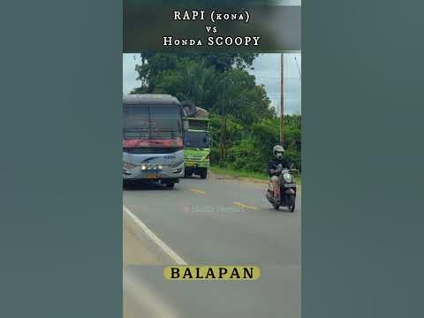 Bus PT RAPI - KONA Balapan Dengan Honda SCOOPY #shorts - YouTube