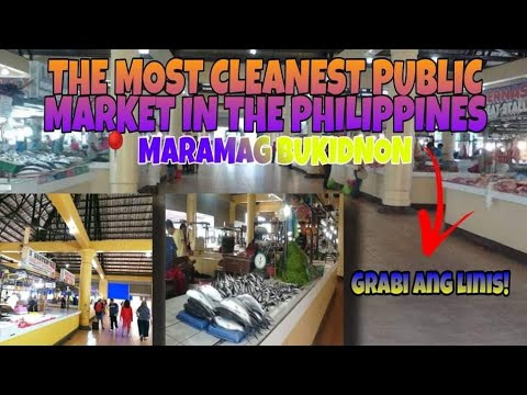 THE CLEANEST PUBLIC MARKET IN THE PHILIPPINES/MARAMAG BUKIDNON - YouTube