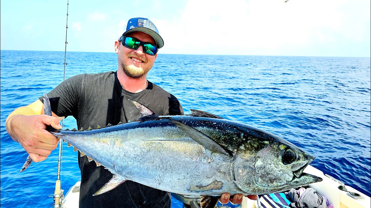 Offshore Fishing Tuna Grouper Snapper Sharks - YouTube