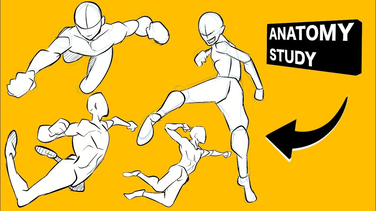 Easy Male BODY ANATOMY Drawing For Beginners || Anatomy Study - YouTube