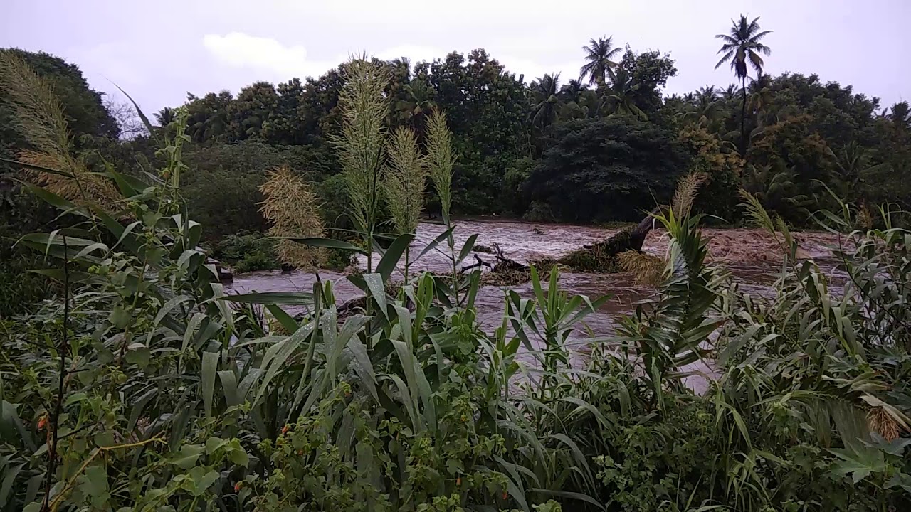 Nanjundapuram Noyyal river water flow - YouTube