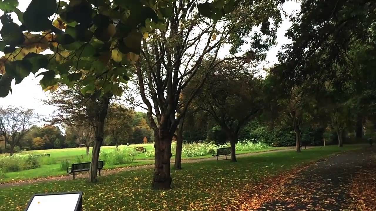 Fall/ Autumn | Manchester, UK - YouTube