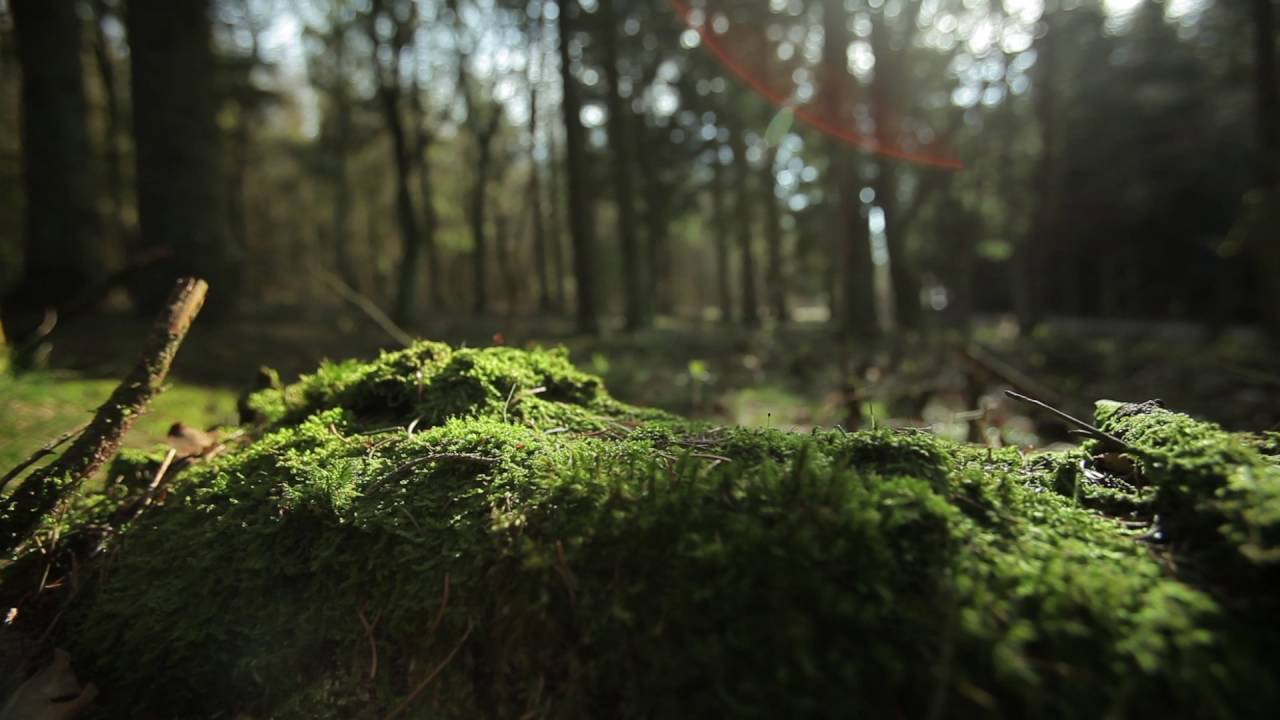 Cenveo Publisher Services - Blog - YouTube