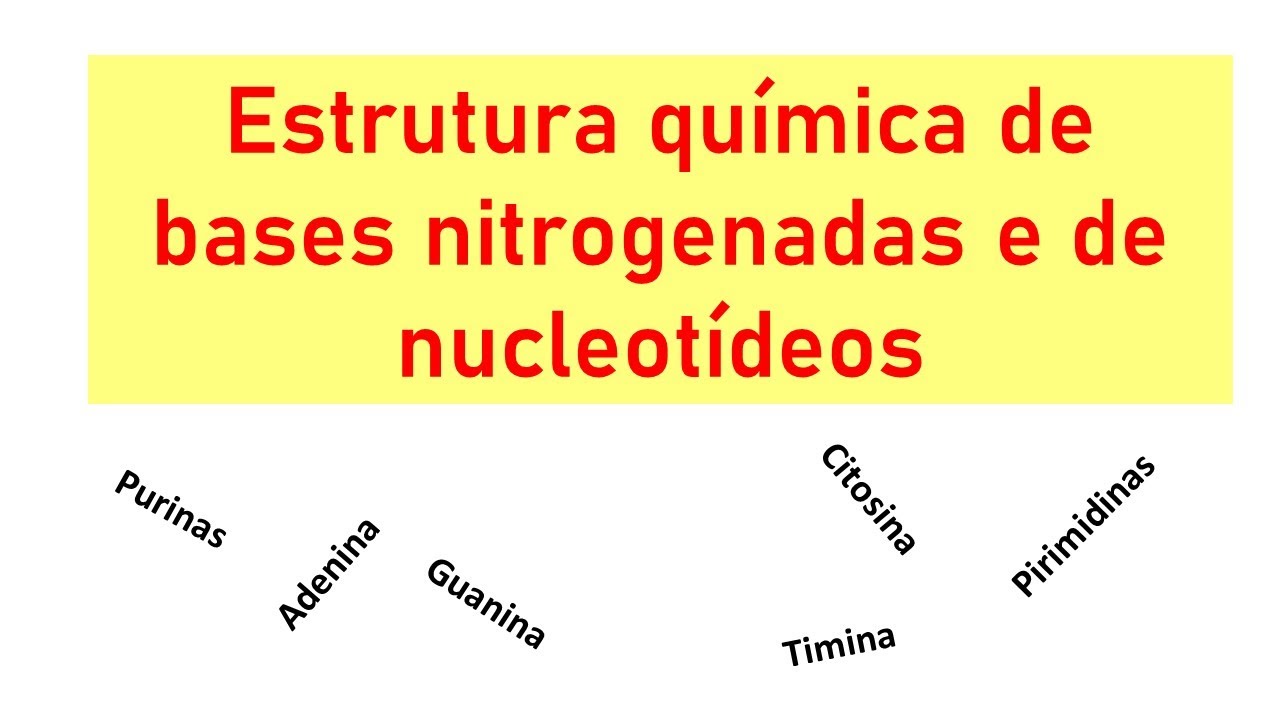 Estrutura química de bases nitrogenadas e nucleotídeos - YouTube