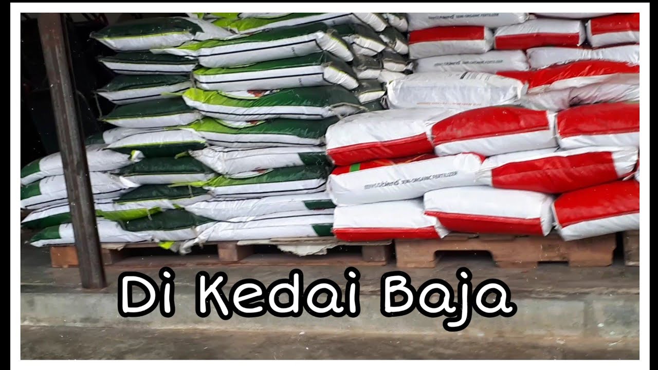Beli Baja Tanaman 👍 - YouTube