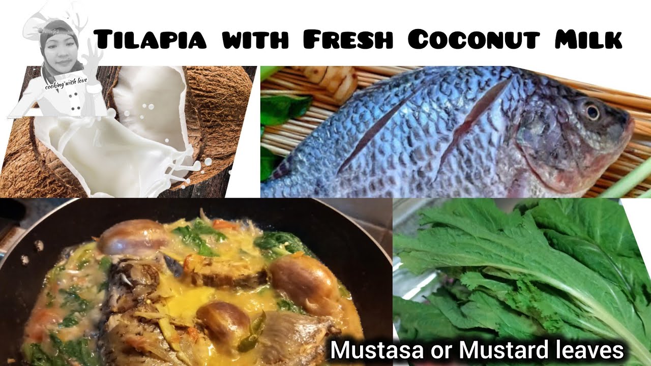 Ginataang Mustasa na may Tilapia || Mustard Leaves || Tilapia Fish ...