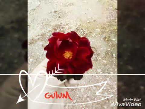 Whatsapp drum status