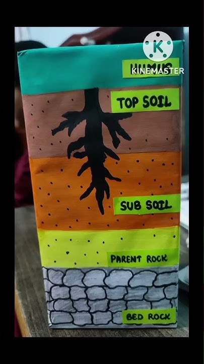 types of soil 3d model// science project craft - YouTube