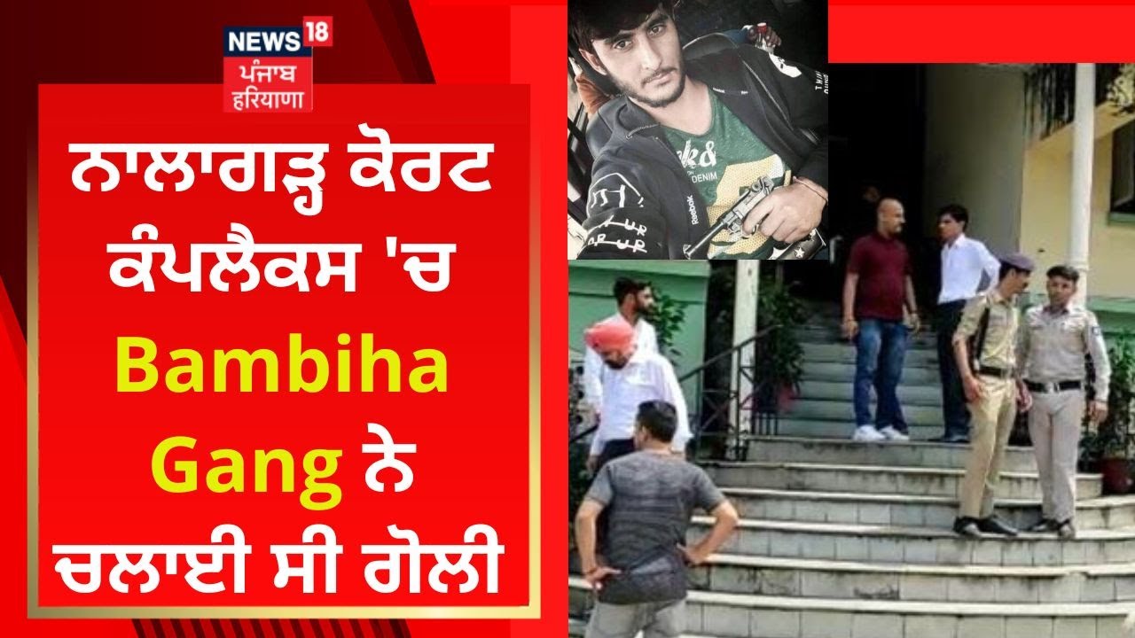 Nalagarh ਕੋਰਟ ਕੰਪਲੈਕਸ 'ਚ Bambiha Gang ਨੇ ਚਲਾਈ ਸੀ ਗੋਲੀ | News18 Punjab ...