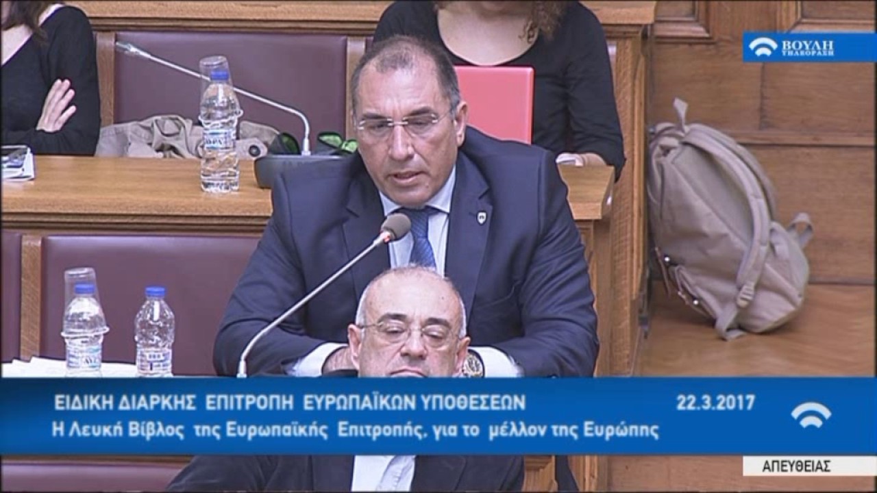 220317_Ομιλία Επιτροπή Ευρωπαϊκών Υποθέσεων_Η Λευκή Βίβλος της Ε.Ε για ...