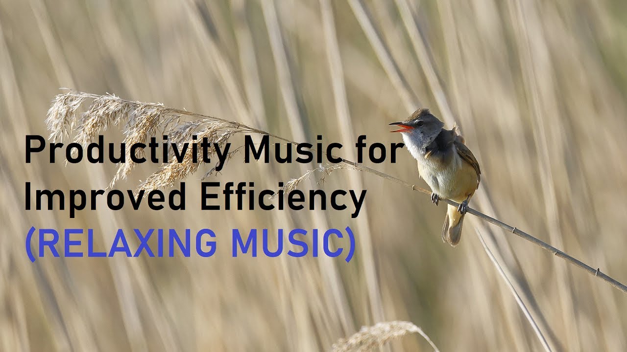 Productivity Music for Improved Focus & Efficiency|Eliminate ...