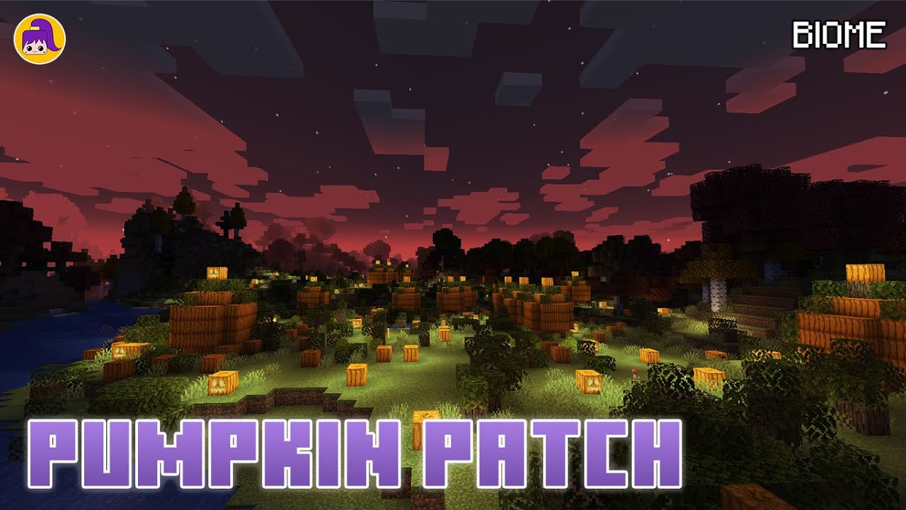 Pumpkin Patch - Minecraft Biome - YouTube