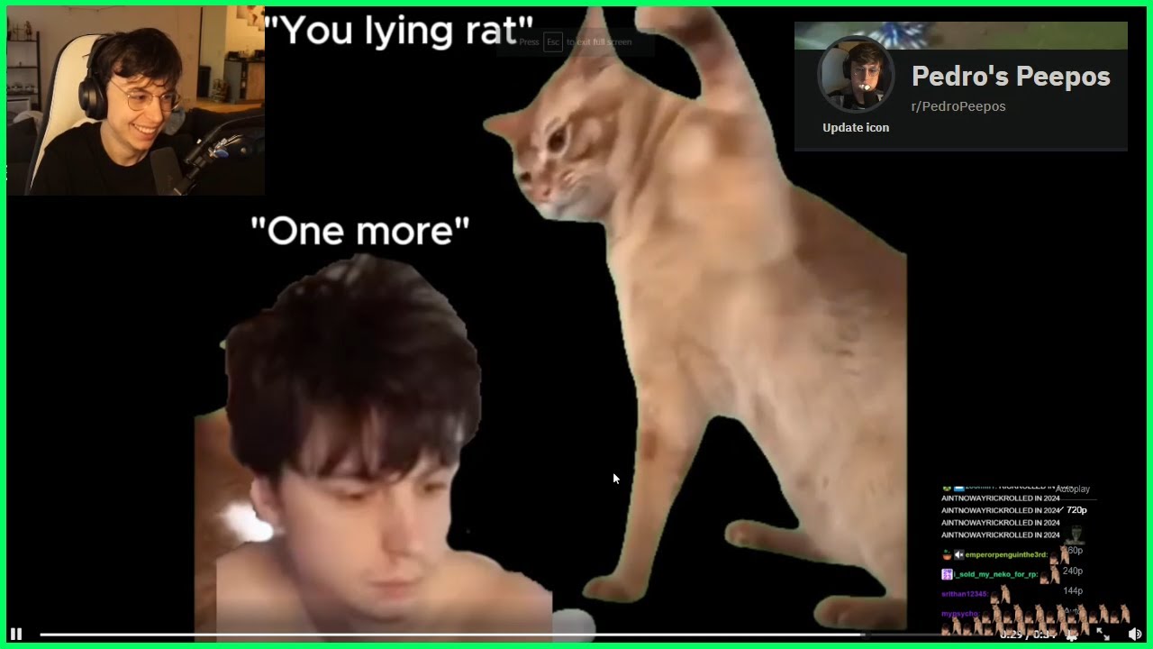 Caedrel Unknowingly Eats Insects, T1's Crazy Schedule & Variety Memes ...