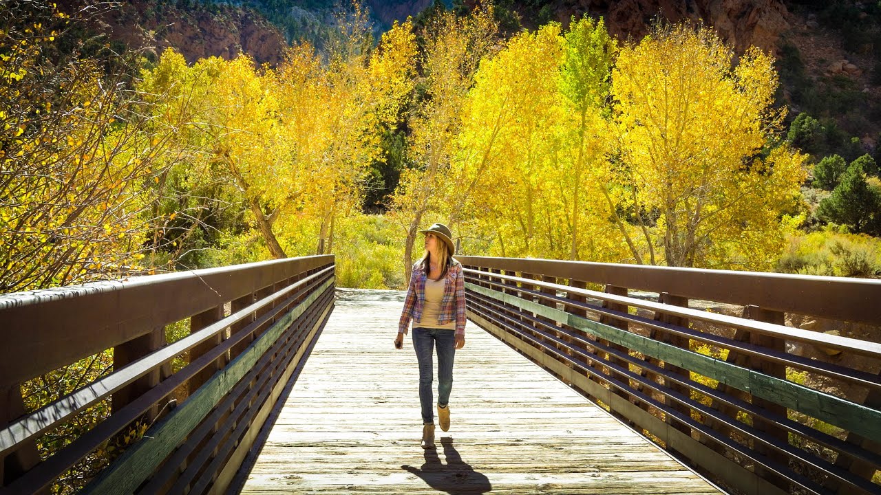 FALL in UTAH 4K | FALL COLOR TOUR | Zion | Cedar Breaks | Full Time ...