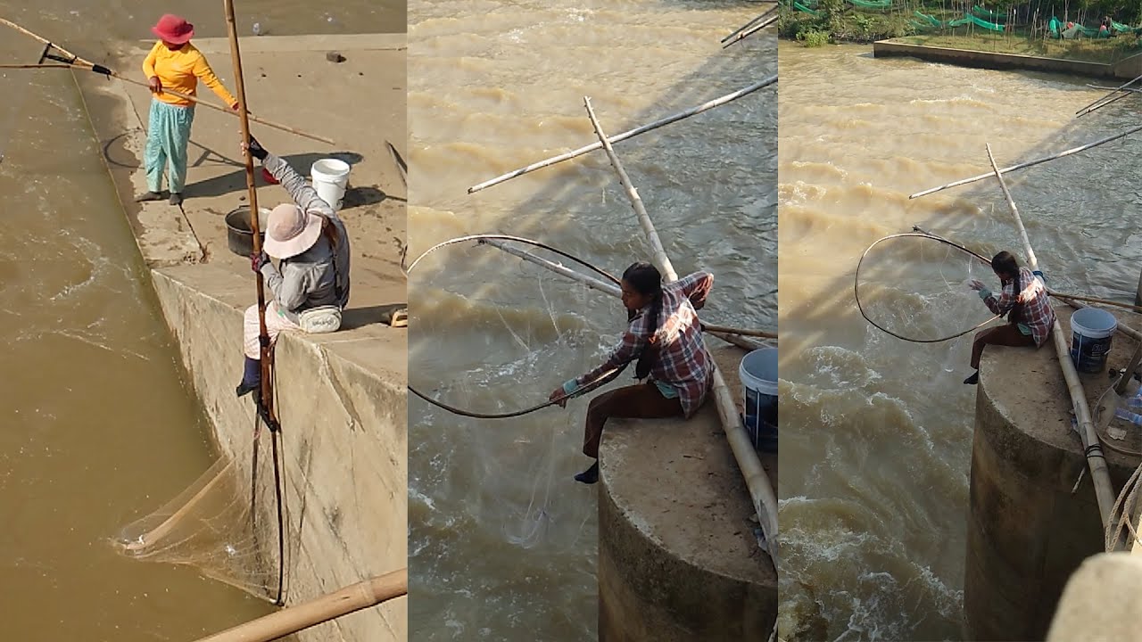 fishing under dam in river for food, scoop net fishing in river at ...