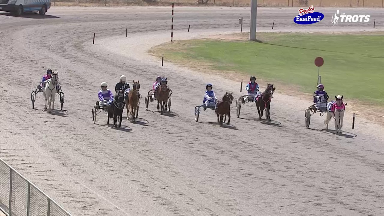 Pryde's EasiFeed Pony Trots - Boort Cup Final - 18/03/18 - YouTube
