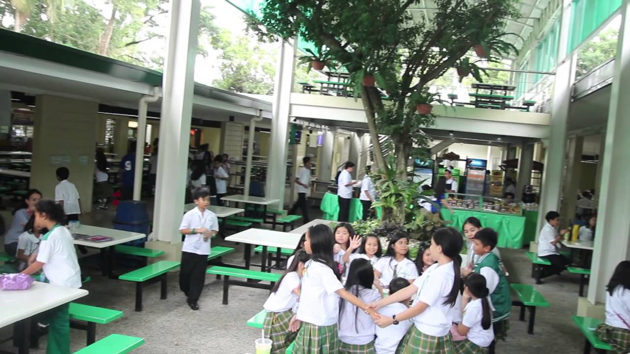 DLSL Integrated School - YouTube