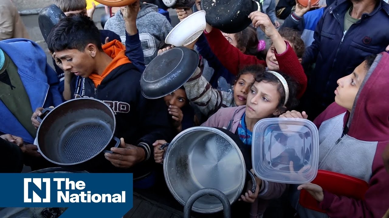 Gripped by hunger, Gaza's children describe daily struggle to find food ...