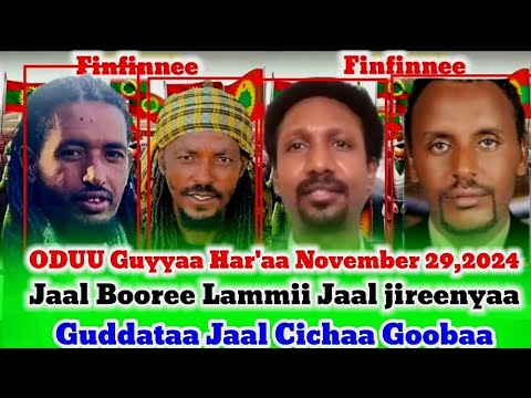 Hasawa Ajajaa Ol'aana ABO-WBO Jaal Booree Lammii Jaal jireenyaa ...