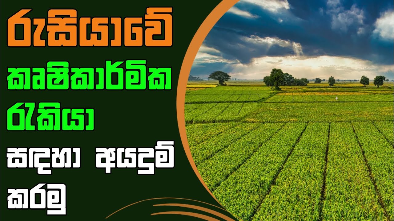රුසියන් රැකියා|farmer job russia|slbfe|russia jobs in sinhala|pathum ...