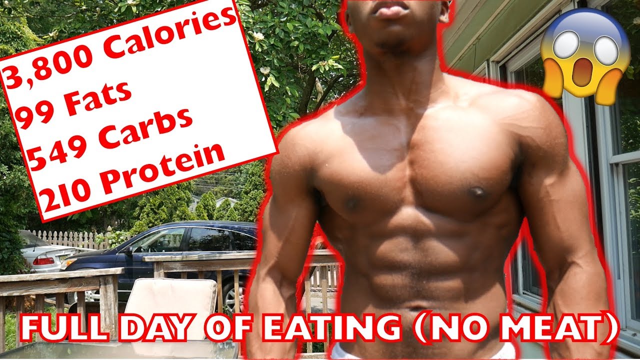 Full Day of Eating Plant Based Vegetarian Bodybuilder 🌿 - YouTube