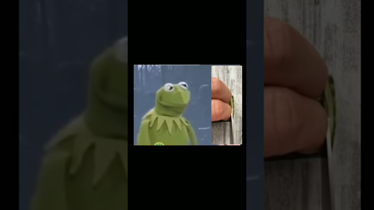 Kermit has war flashbacks - YouTube