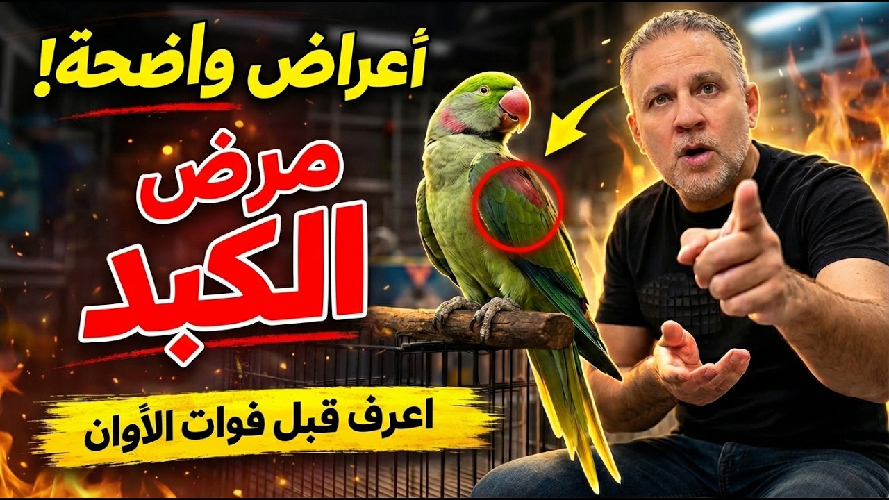 Parrot Mutation or Liver Disease? Don’t Be Fooled by the Symptoms ...