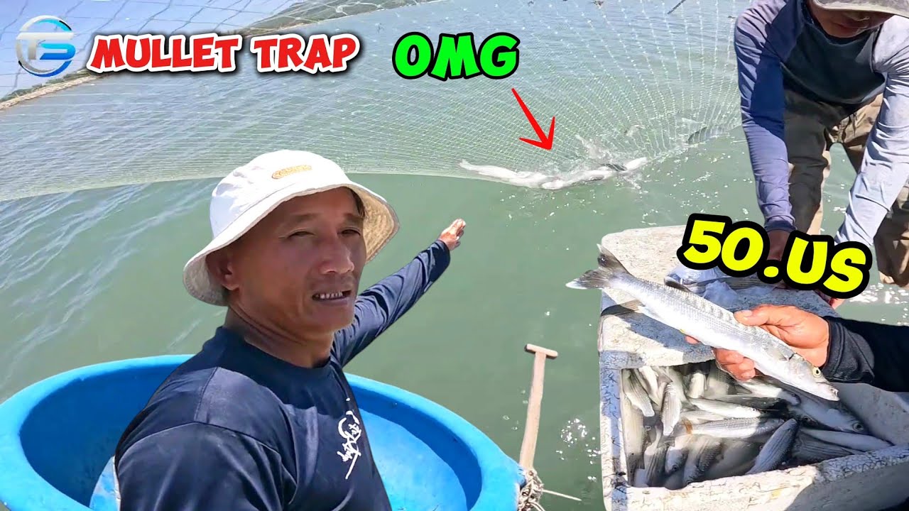 How to catch fish with super large trap net very effectively - YouTube