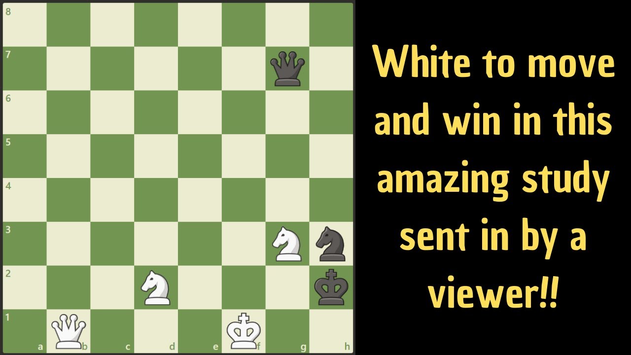 High end chess study! - YouTube
